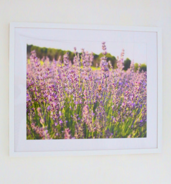 Announcing: The Bright.Bazaar Print Collection - Bright Bazaar by Will ...