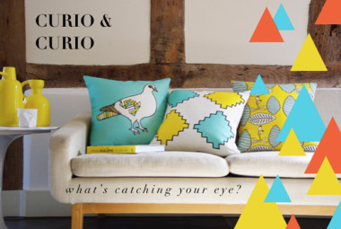 NEW! Curio & Curio S/S 2015 Collection - Bright Bazaar by Will Taylor