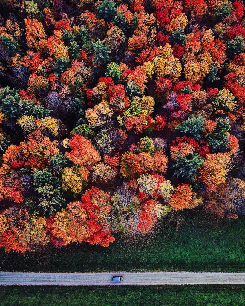 Fall Leaves In Vermont: A Travel Guide - Bright Bazaar by Will Taylor