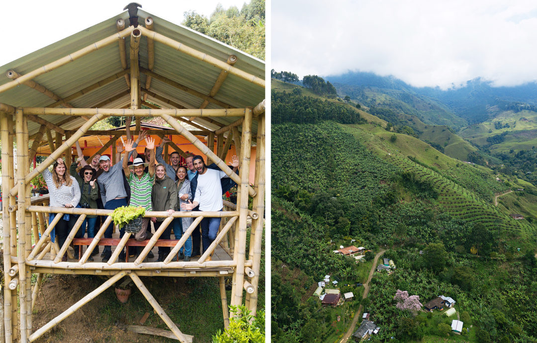Five Things I Learned About Coffee in Colombia - Bright Bazaar by Will ...