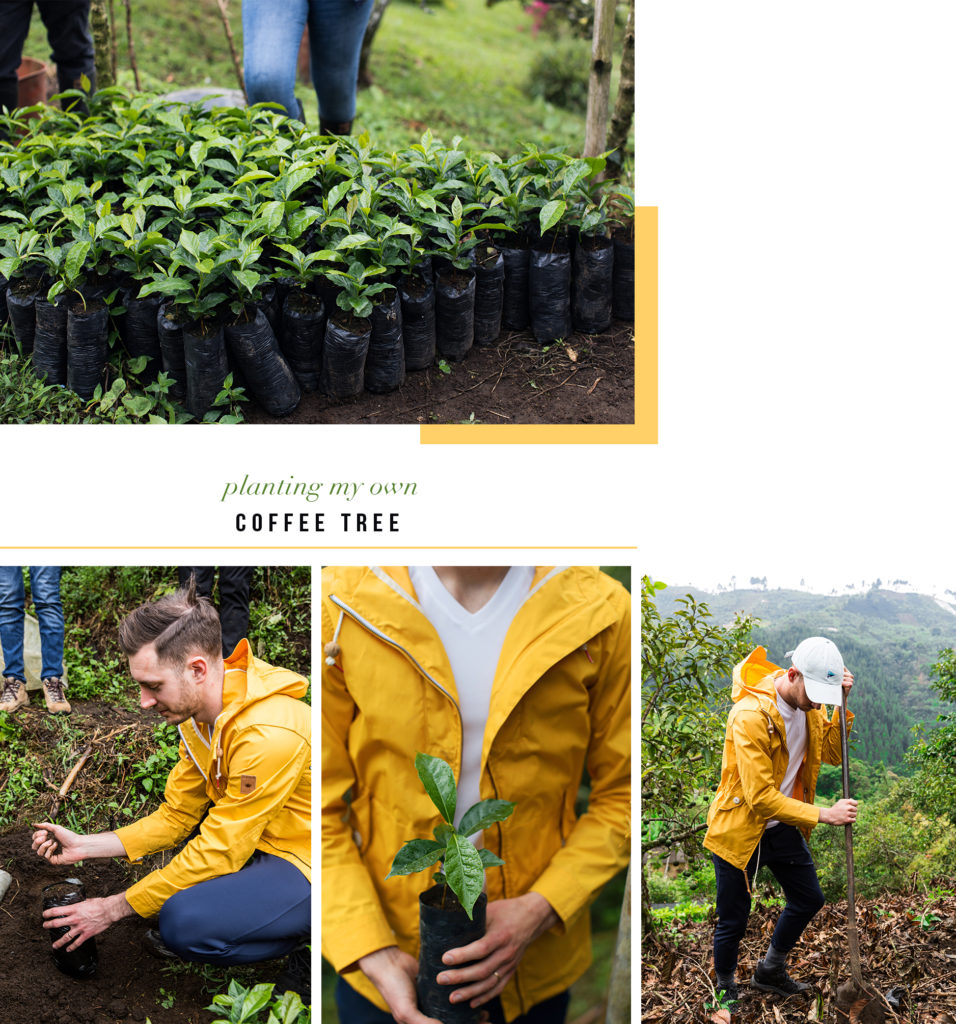 Five Things I Learned About Coffee in Colombia - Bright Bazaar by Will ...