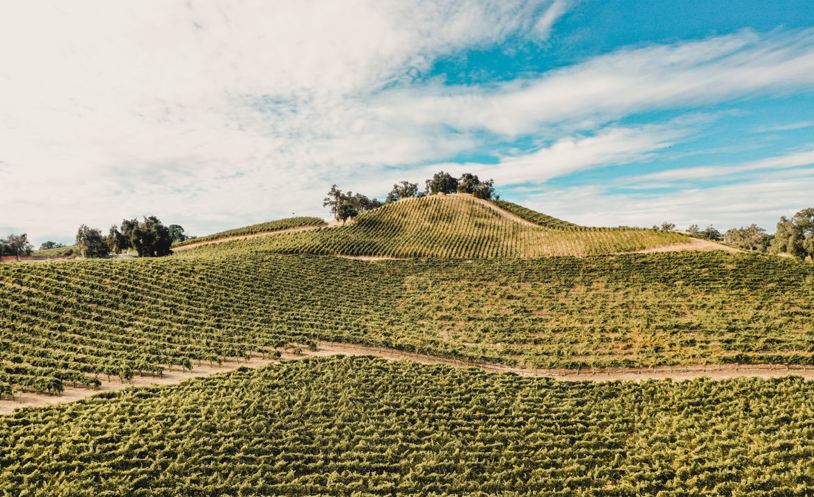 The California Central Coast Wine Region You Need to Know About ...